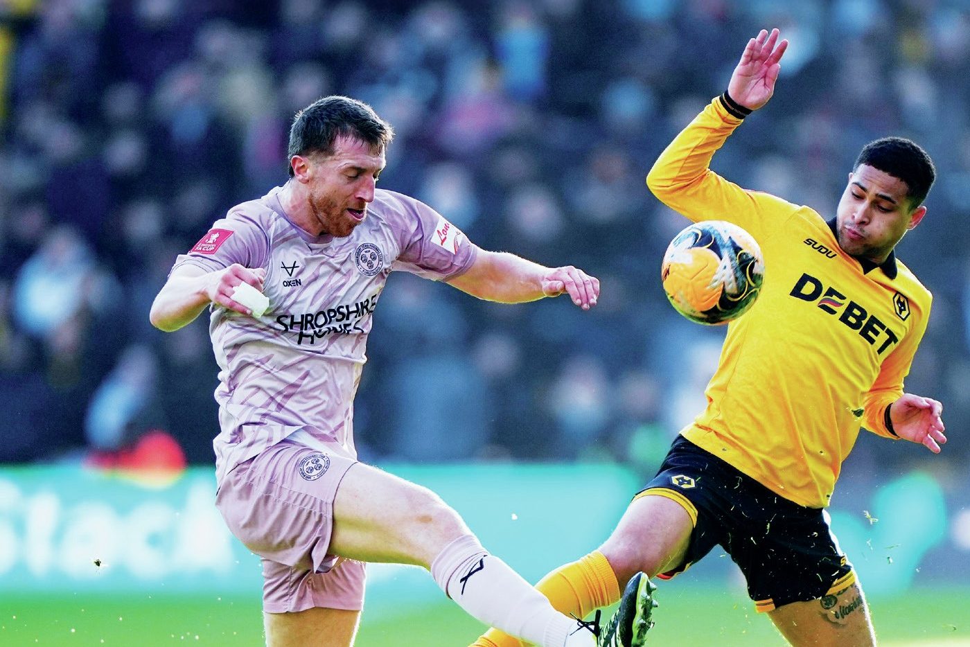 Wolverhampton Wanderers 6-1 Shrewsbury Town: Shrews are chewed up by ...